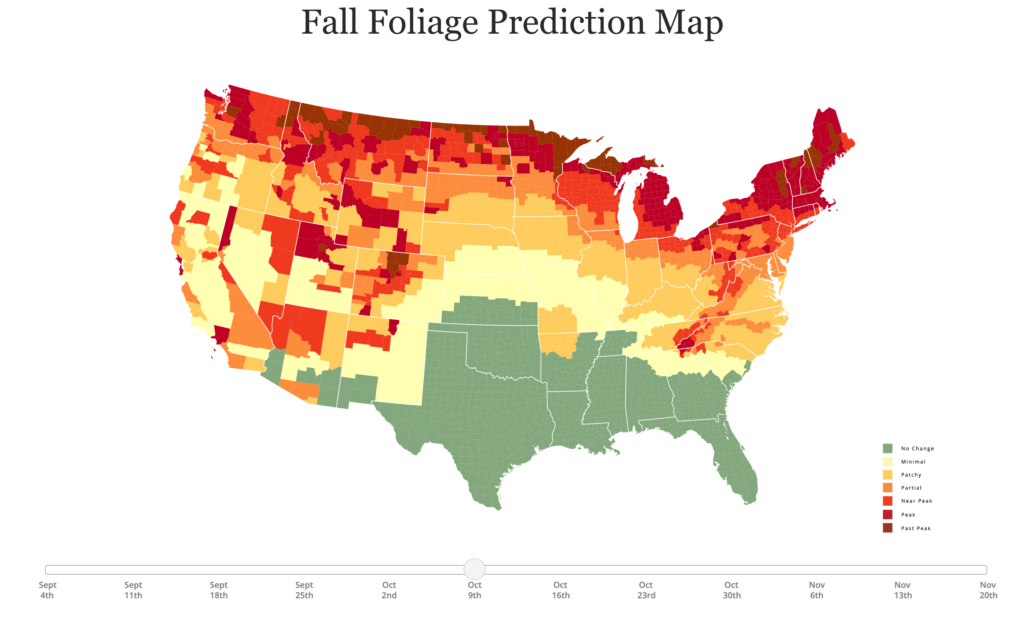 Leaf-peeping season is here: Where and when to see fall foliage across ...